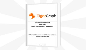 Linked Data Benchmark Council Social Network Benchmark (108TB)